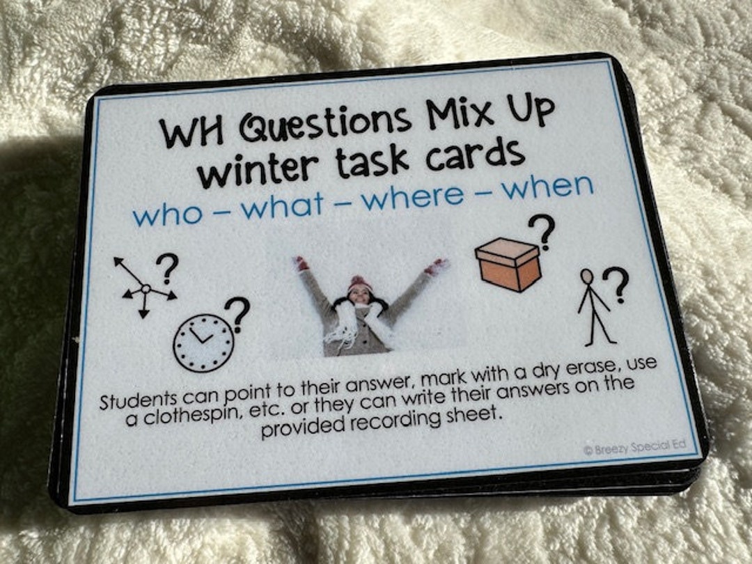 WH Questions Winter Task Cards for Autism and Special Education - Etsy