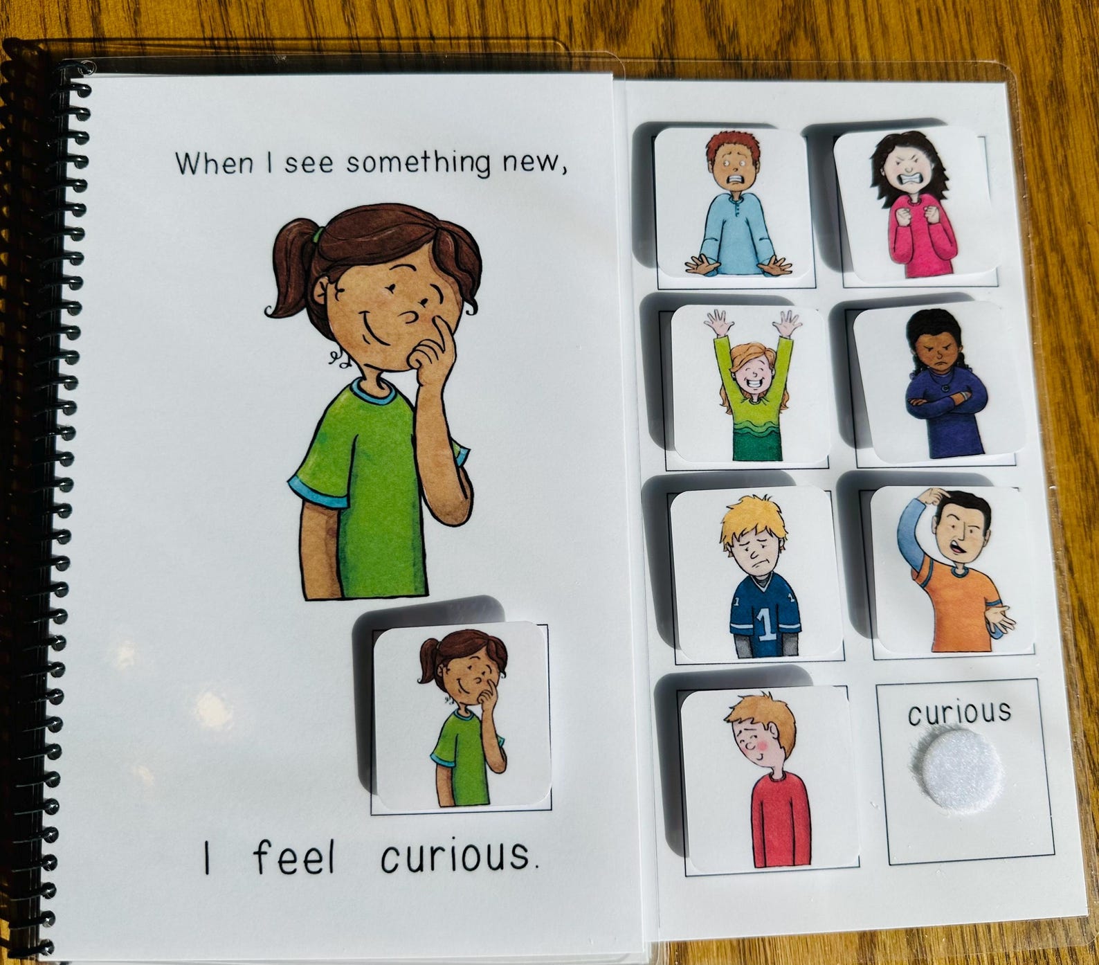 Feelings Adapted Books for Special Education / Autism - Etsy