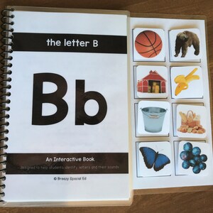 Alphabet REAL PICTURE Adapted Books Bundle (29 Pk) - Etsy