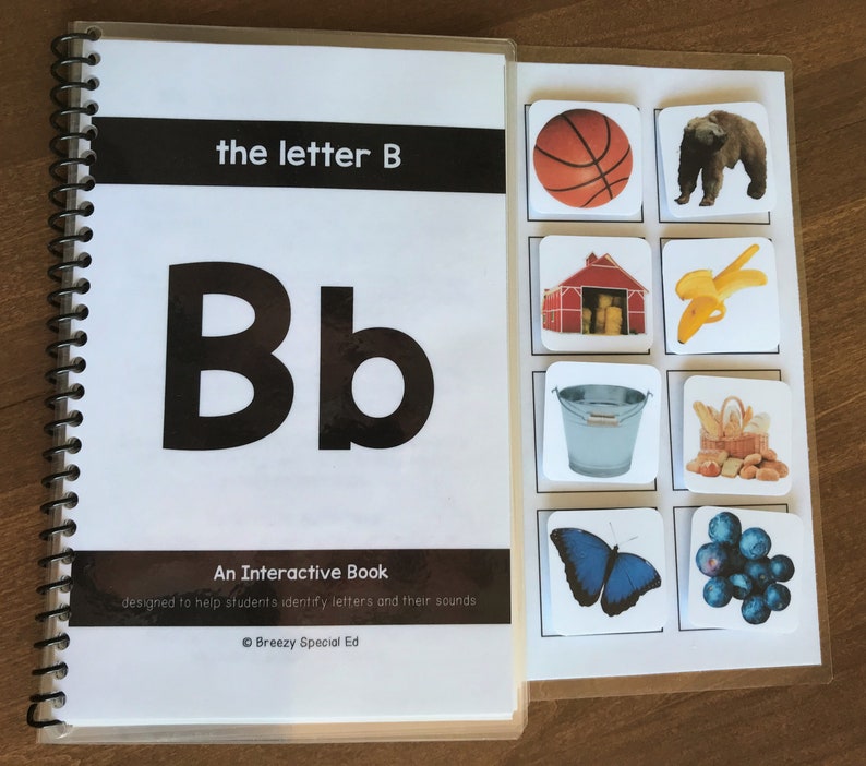 Alphabet REAL PICTURE Adapted Books Bundle (29 Pk) - Etsy