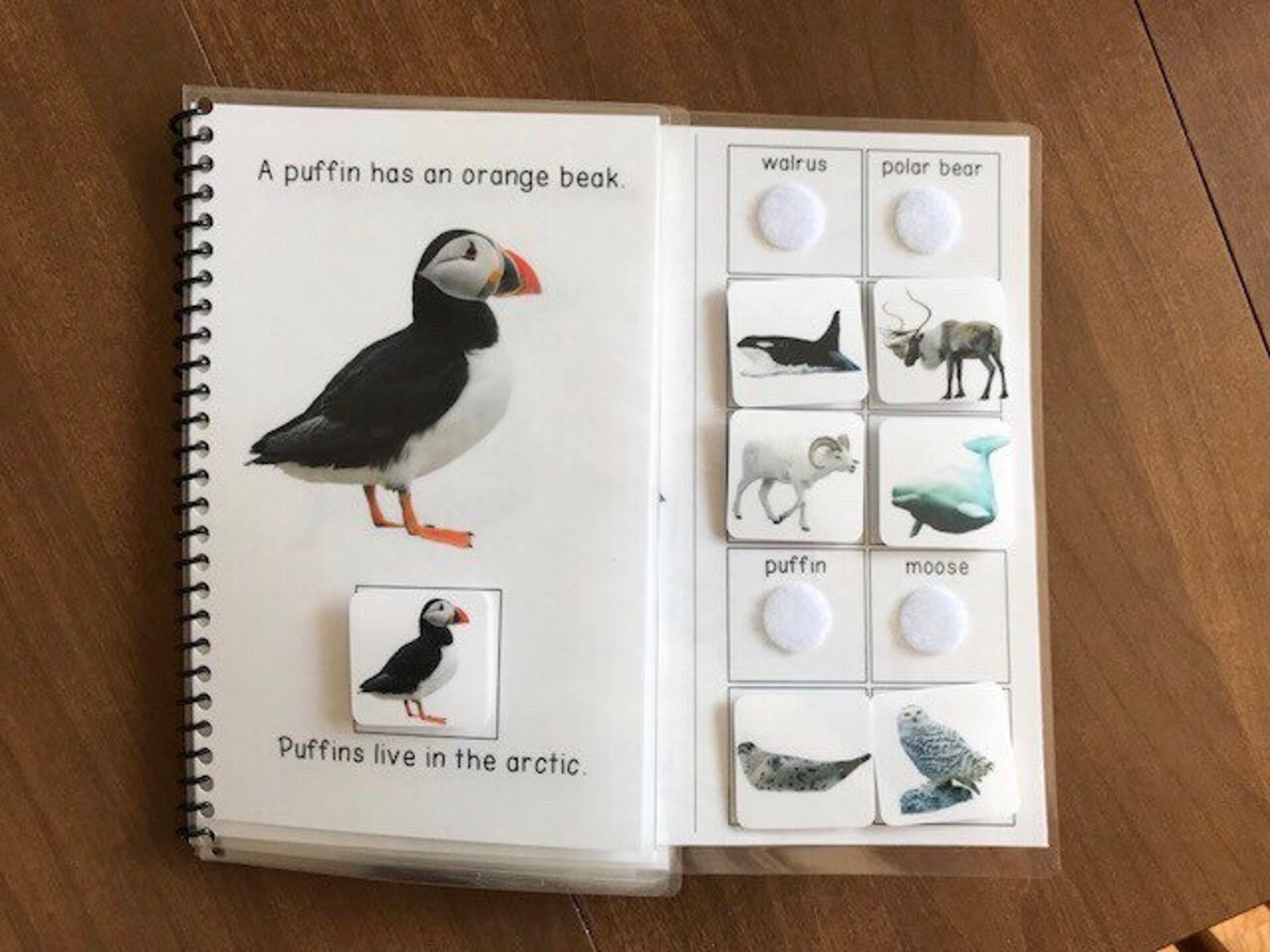 Animal Habitats Adapted Books for Special Education - Etsy