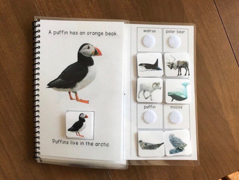 Animal Habitats Adapted Books for Special Education - Etsy