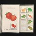 Fruits and Veggies and Food Sentence Starter Adapted Books I Eat - Etsy