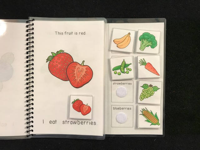 Fruits and Veggies and Food Sentence Starter Adapted Books I | Etsy