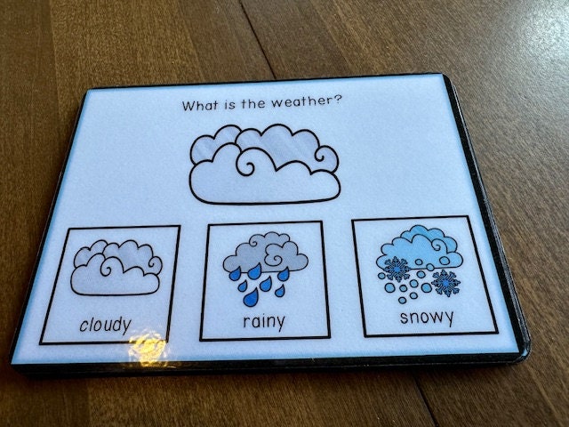 What is the Weather Visual Task Cards special Education 60 Pc - Etsy
