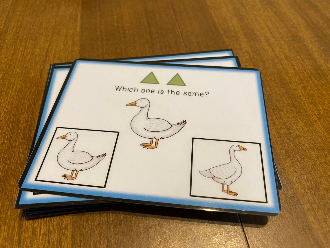 Same or Different Visual Task Cards special Ed - Etsy