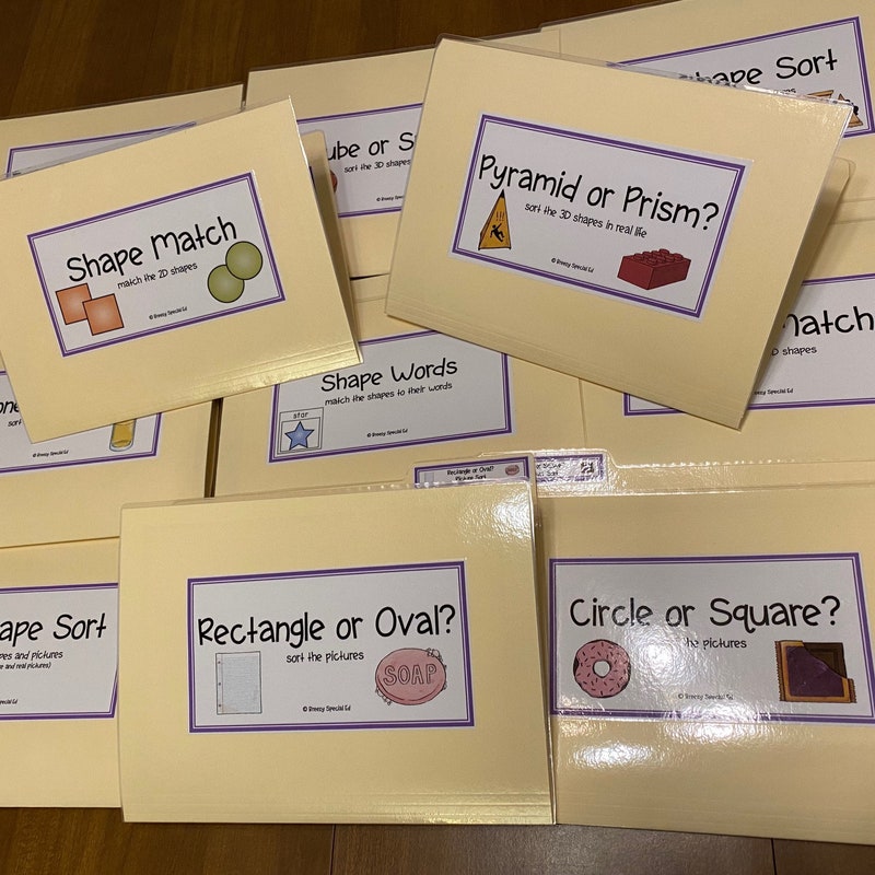 File Folder Game - Etsy