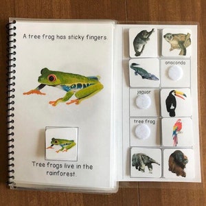 Animal Habitats Adapted Books for Special Education - Etsy