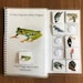 Animal Habitats Adapted Books for Special Education - Etsy