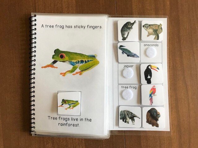 Animal Habitats Adapted Books for Special Education - Etsy