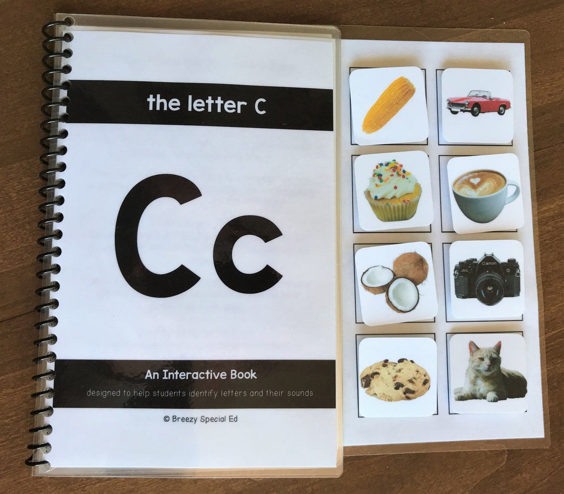 Alphabet REAL PICTURE Adapted Books Bundle 29 Pk | Etsy