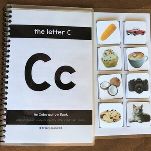 Alphabet REAL PICTURE Adapted Books Bundle (29 Pk) - Etsy