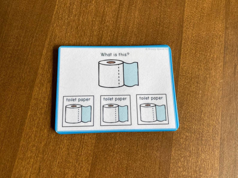 Bathroom Vocabulary Life Skills Adaptive Booklet W Task Cards - Etsy