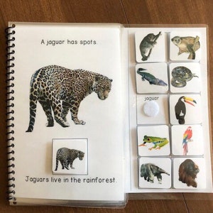 Animal Habitats Adapted Books for Special Education - Etsy