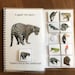 Animal Habitats Adapted Books for Special Education - Etsy