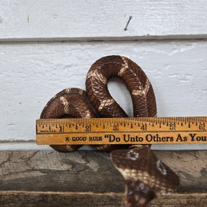 Vintage 1988 Castagna Cobra Snake Figurine Italy, Statue Figure, Signed ...