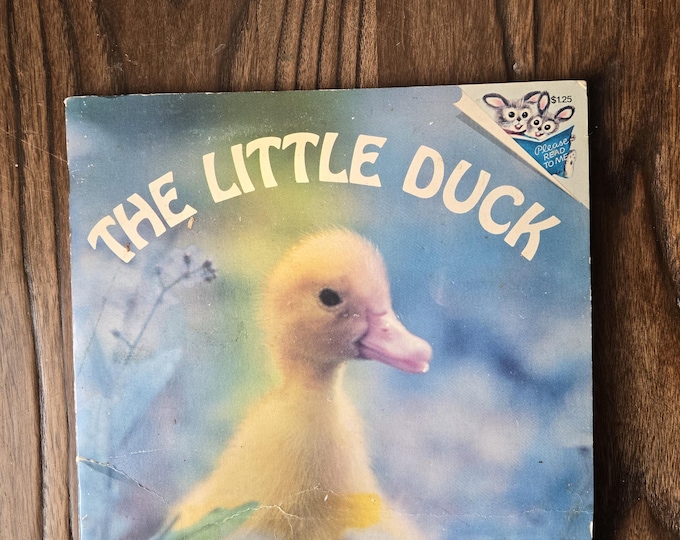 1976 Vintage Kid's Picture Book the Little Duck Pictureback, Animal ...