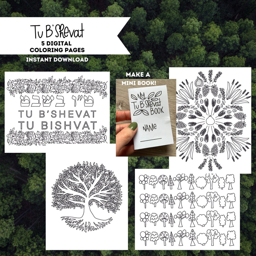 Tu Bishvat Coloring Pages Tu B’shevat Jewish Holiday Tree Birthday Kid ...