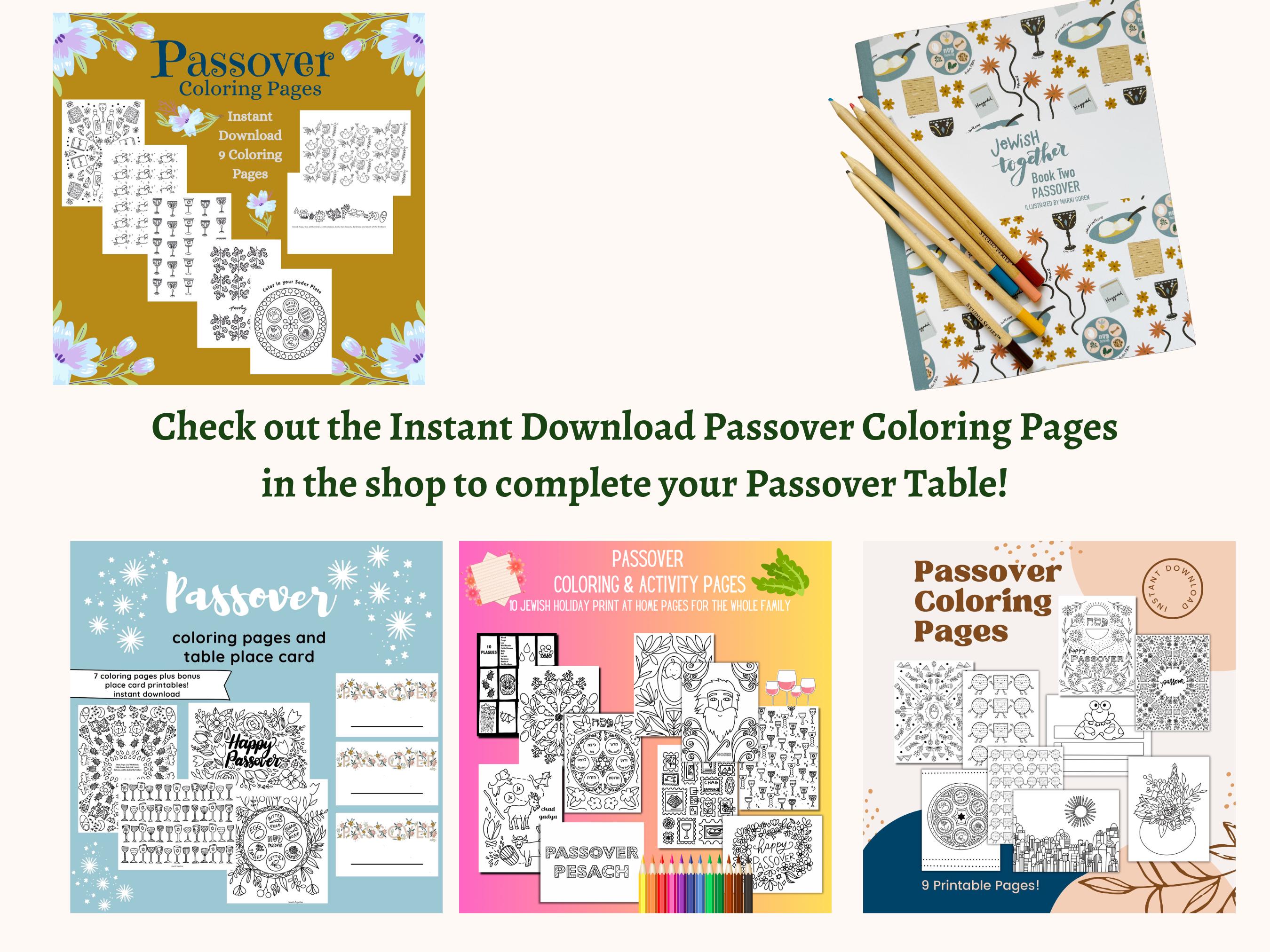 Passover Activity for Seder Plate, Matzoh, Baby Moses, Flowers ...