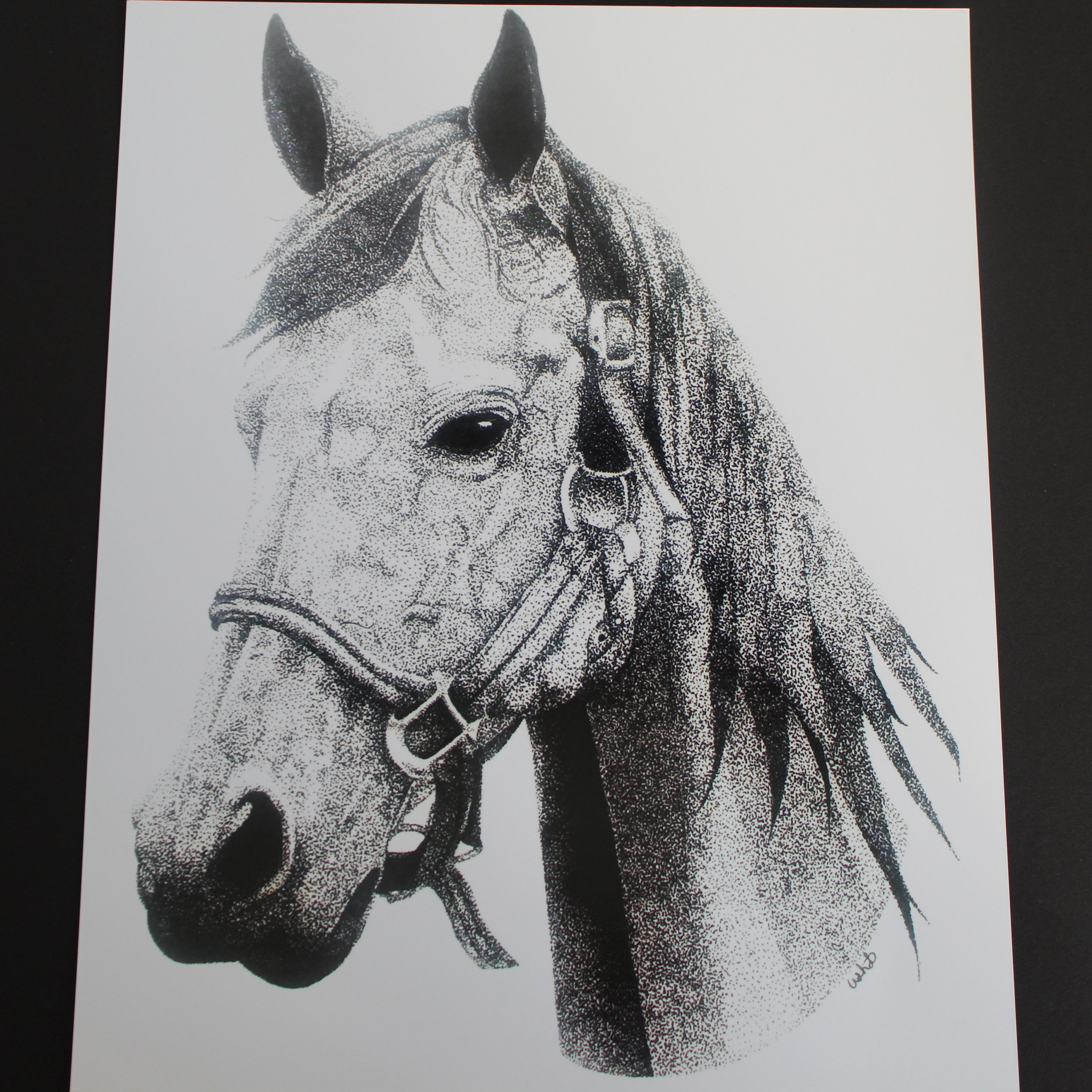 Pointillism Black And White