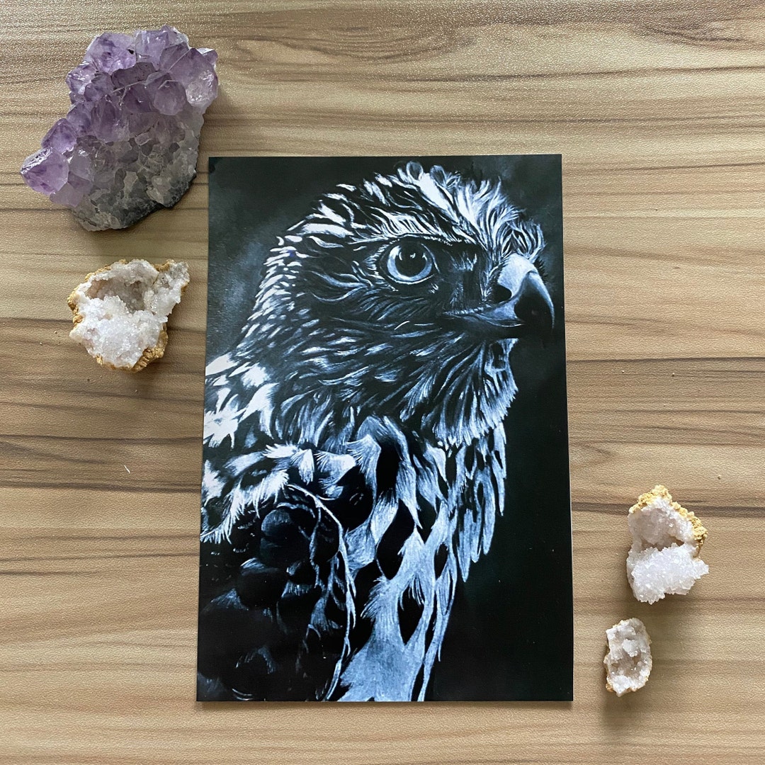 MINI PRINT Hawk 4x6 Art Print White Charcoal - Etsy