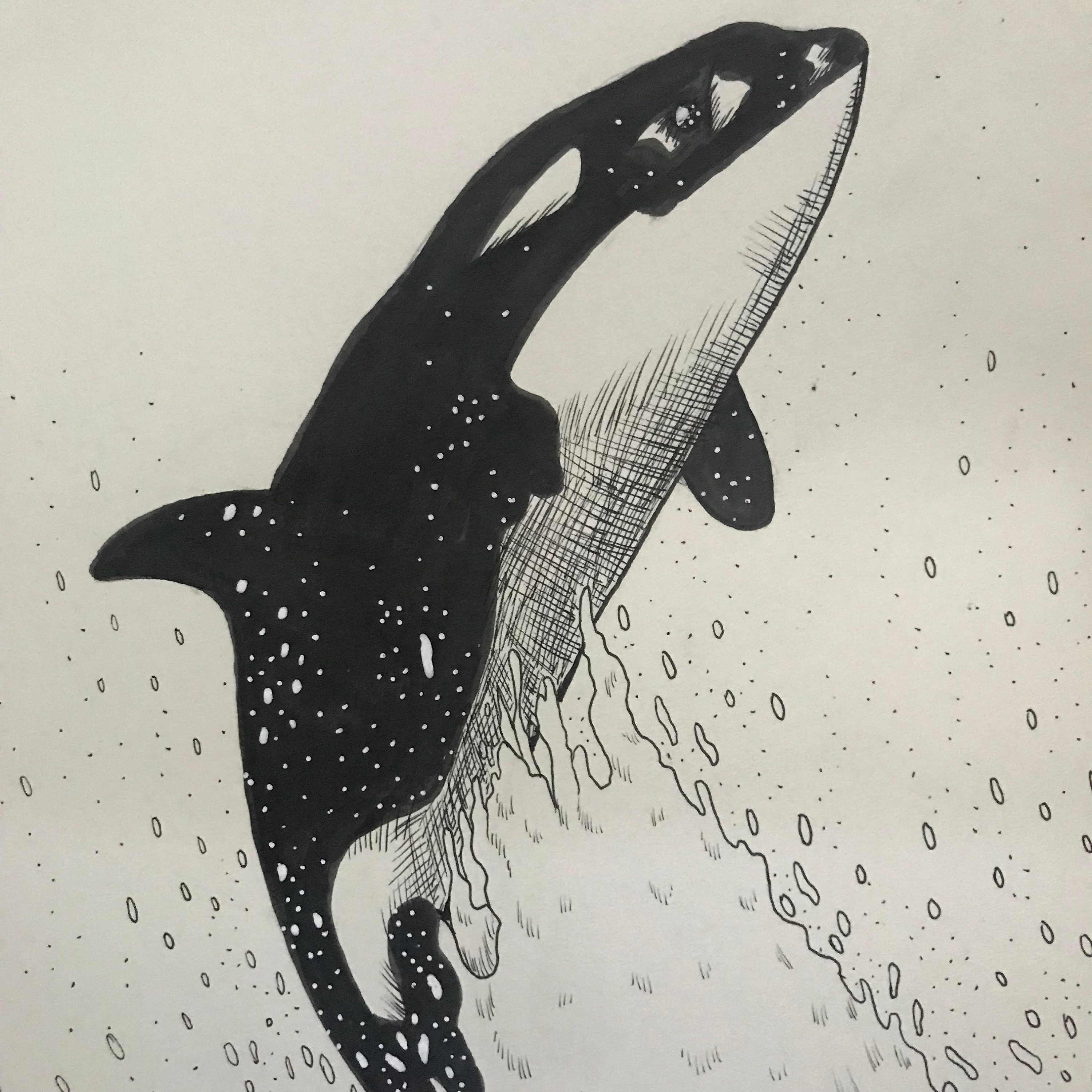 Whale: ORIGINAL INKTOBER 8 X 10 Pen & Ink DRAWING | Etsy