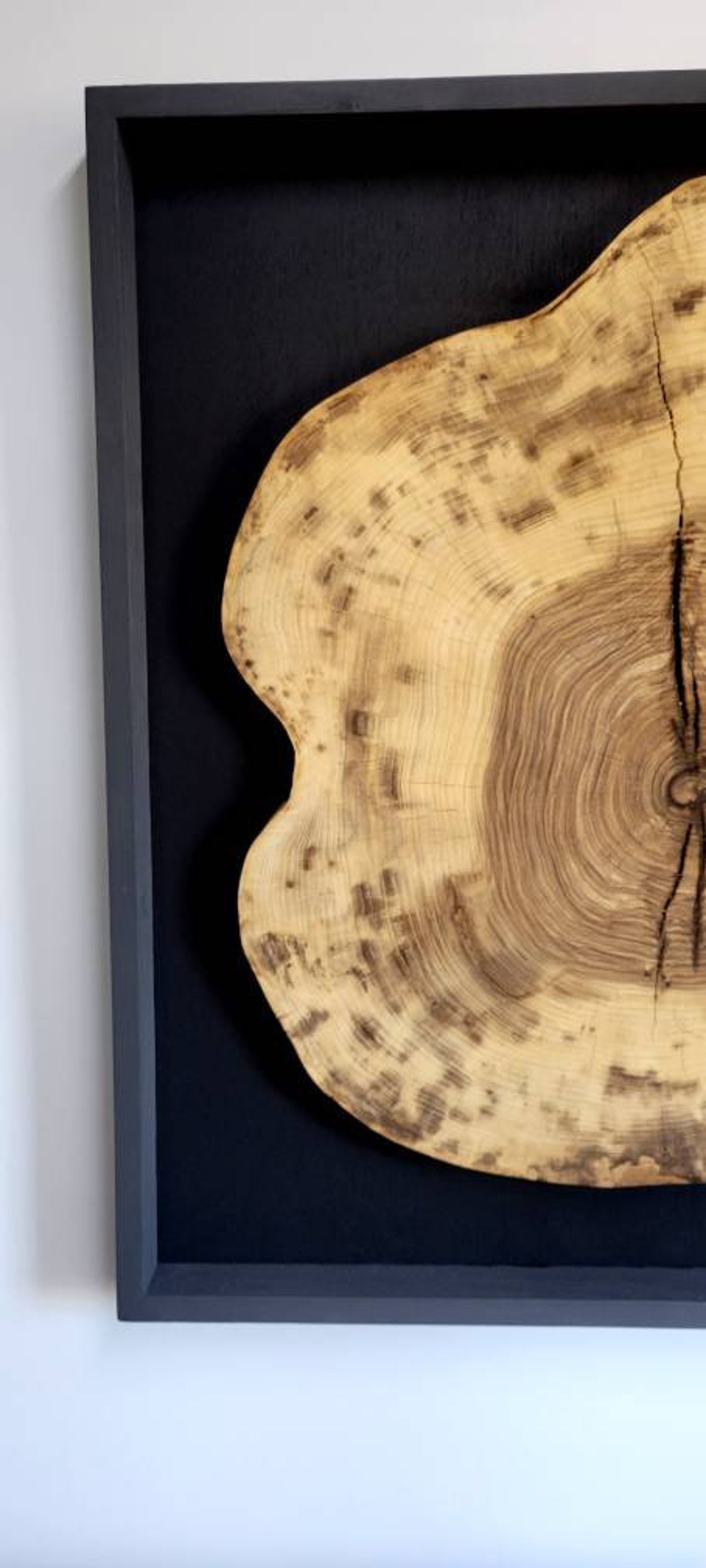 Spalted Hackberry Tree Slice Wall Art, Contemporary Wood Decor (32x32 ...