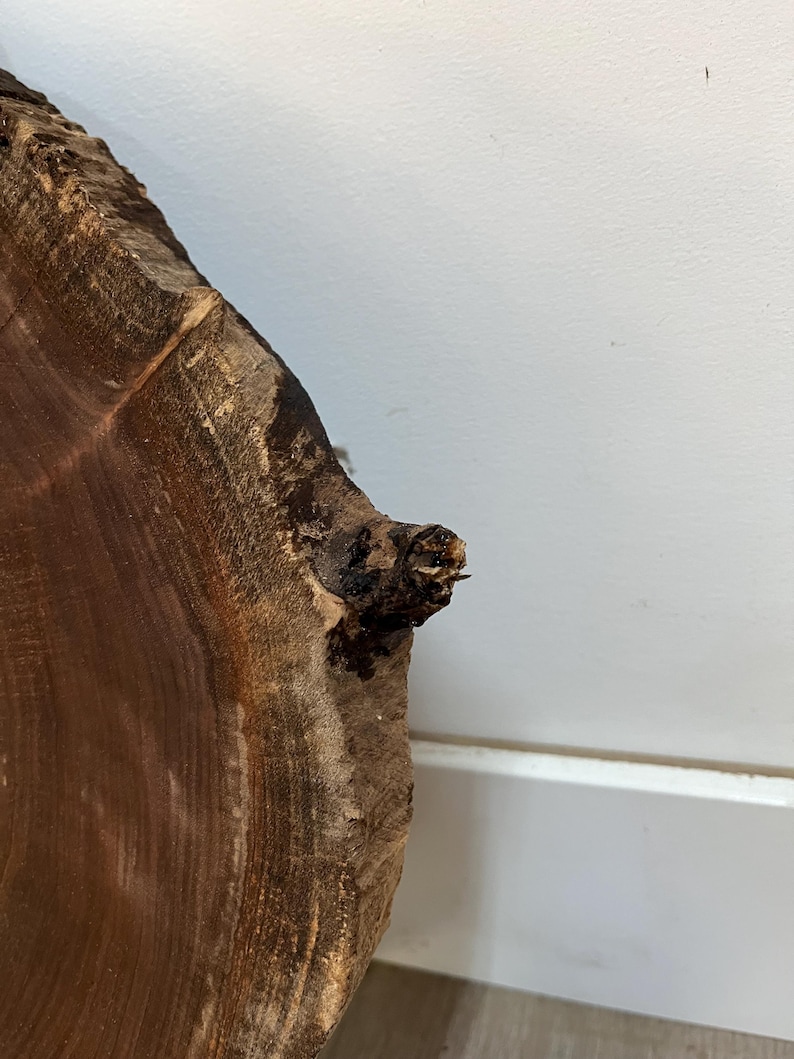 Black Walnut Wood Slab, Kiln Dried Live Edge, DIY Furniture - Etsy