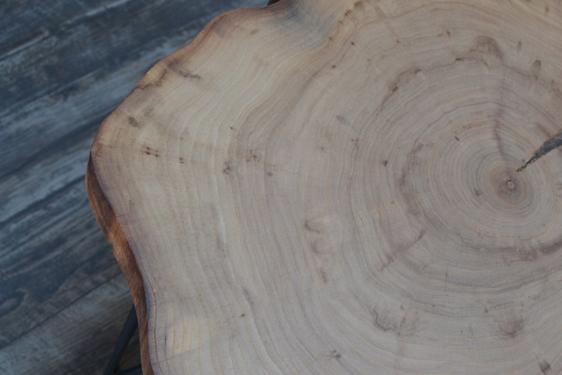 Wood Tree Slice Table With Hairpin Legs - Etsy UK