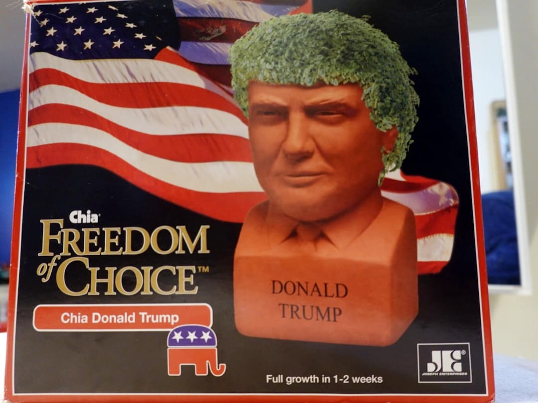 Donald Trump Chia Pet: Novelty Planter - New in Box - Etsy