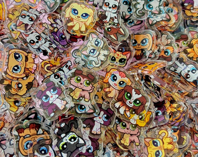 BIG 5 Petz Fan Made Grab Bag Fillable Keychain Booster Packs - Etsy