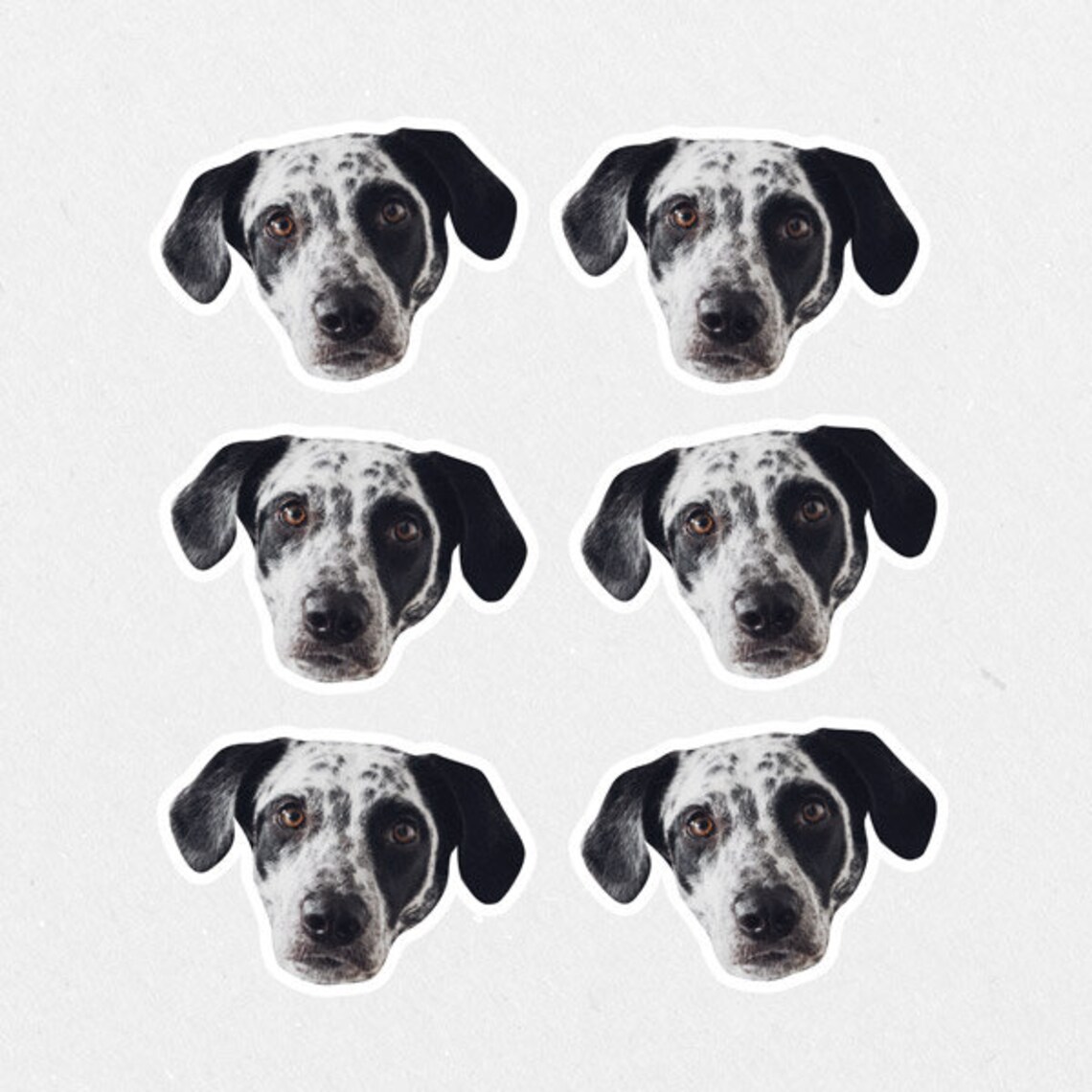 Custom Pet Face Sticker Personalised Dog Cat Pet Gifts | Etsy Australia