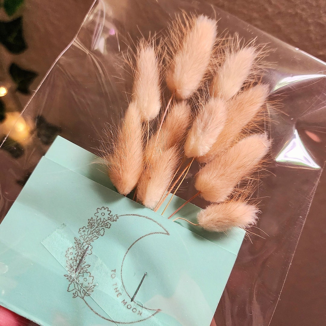 Natural Brown Bunny Tails Grass Spray for Small Animals - Etsy