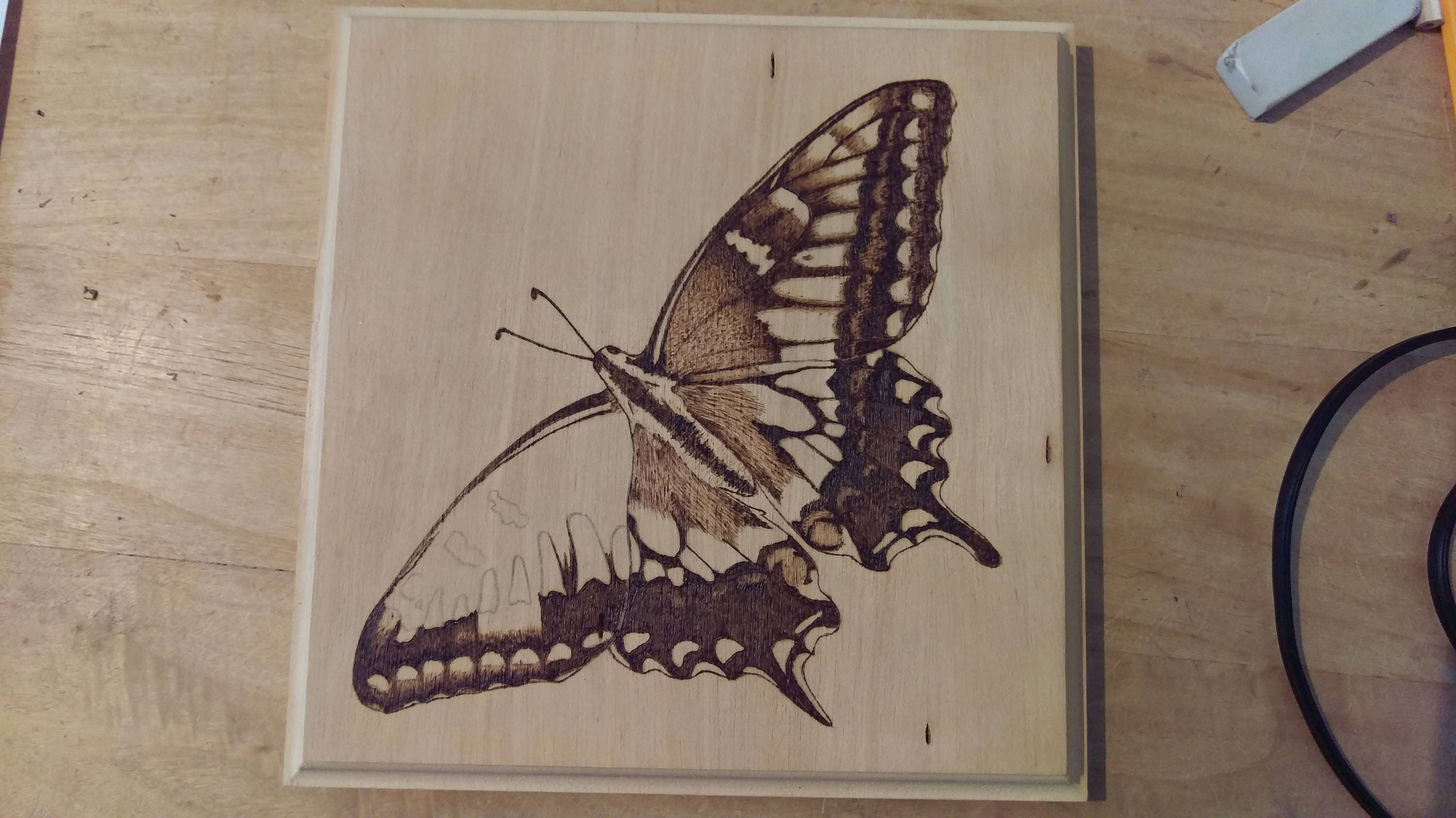 Beautiful Swallowtail Butterfly Art Bespoke Hand Pyrography/ - Etsy Canada