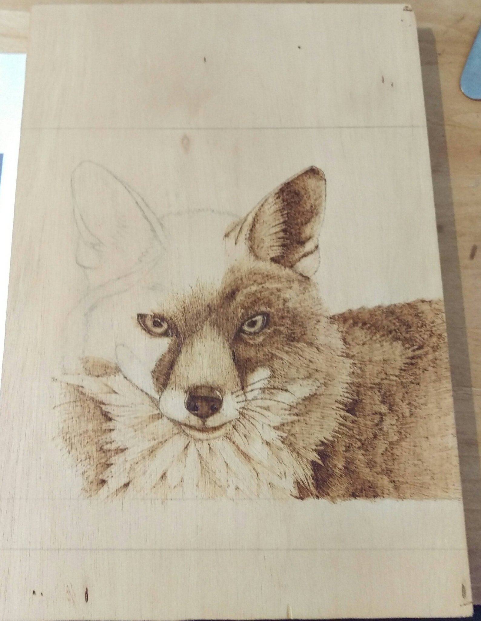 Bespoke Pyrography / Wood Burning Art of Fox Signed by Artist 21cm by ...