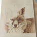 Bespoke Pyrography / Wood Burning Art of Fox Signed by Artist - Etsy