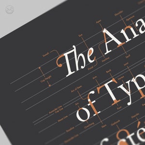 The Anatomy of Typography Poster Font Design Typography | Etsy