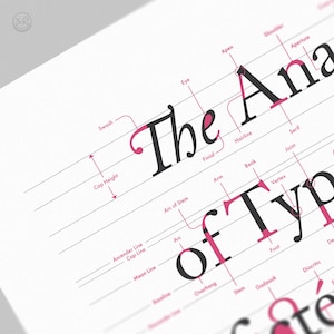 The Anatomy of Typography Poster, Type Poster, Lettering Style, Font ...
