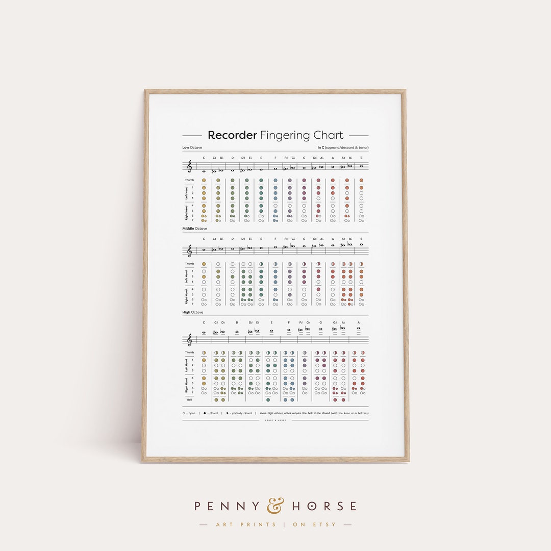 Recorder Fingering Chart Soprano Notes Diagram Fingering - Etsy UK
