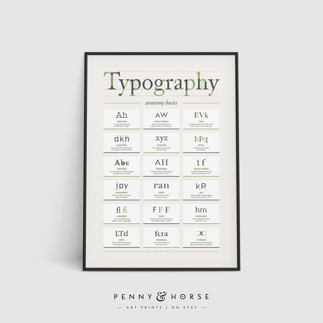 Typography Anatomy Basics Poster Type Design Simple - Etsy