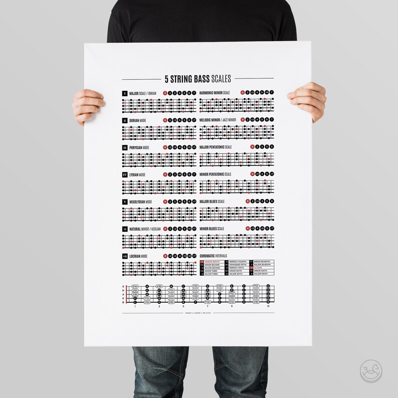 Five String Bass Guitar Scales Chart Bass Scales/modes Print - Etsy UK