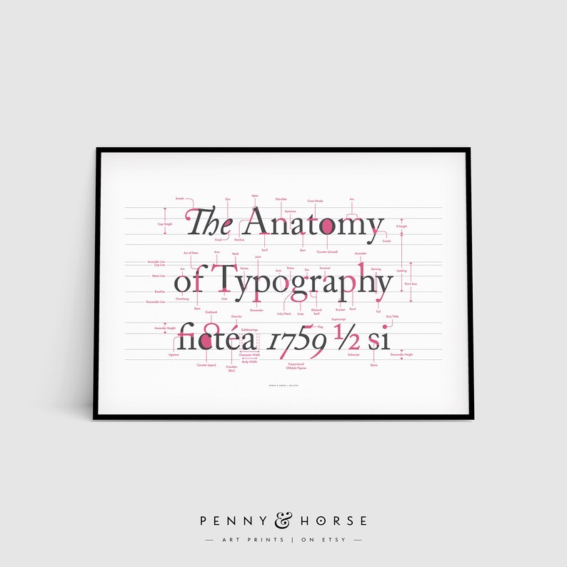 The Anatomy of Typography Poster Type Poster Lettering - Etsy