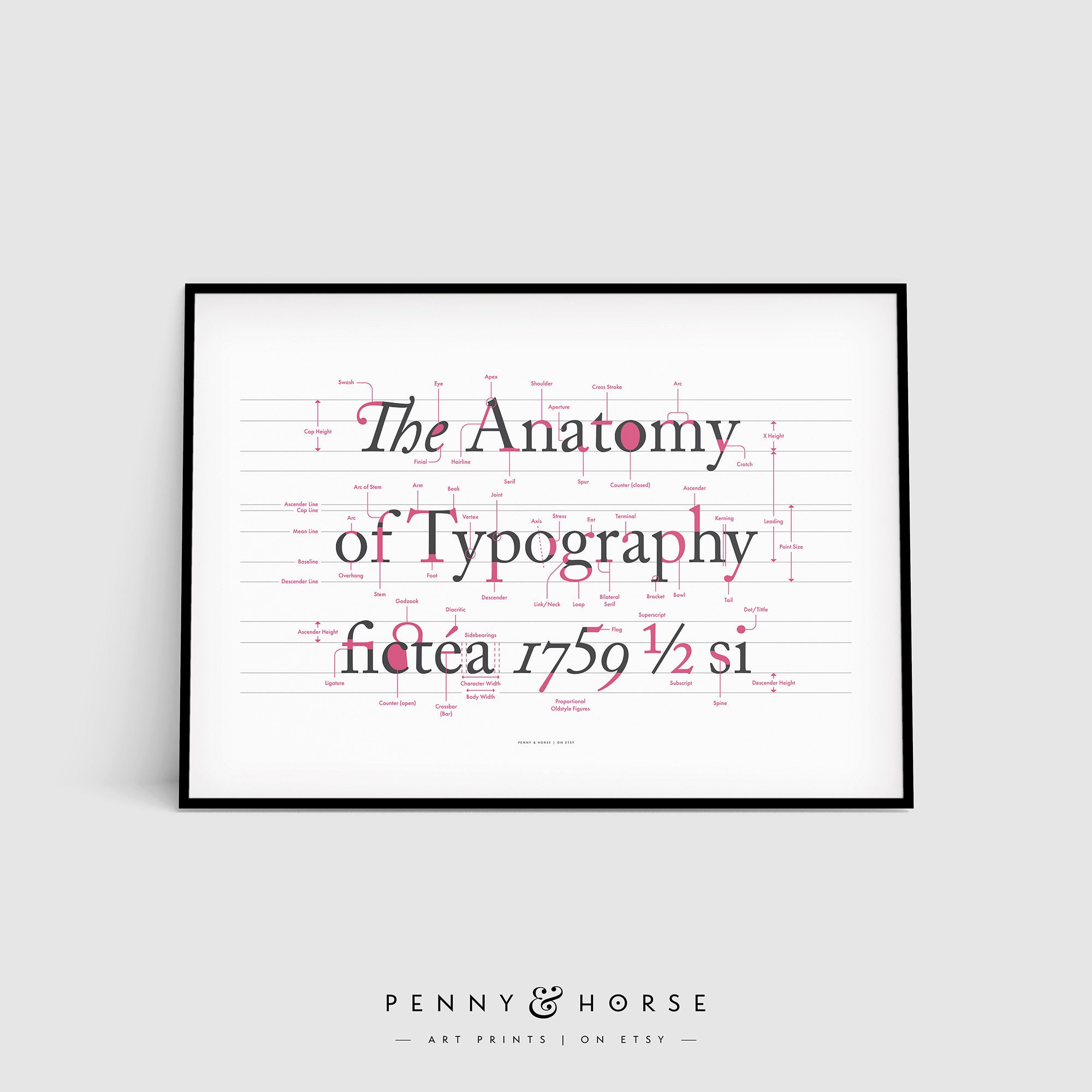 The Anatomy of Typography Poster Type Poster Lettering - Etsy