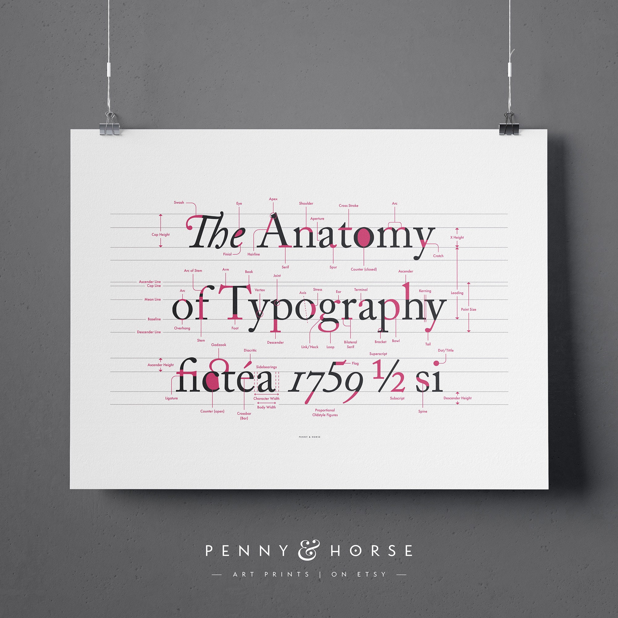 The Anatomy of Typography Poster, Type Poster, Lettering Style, Font ...