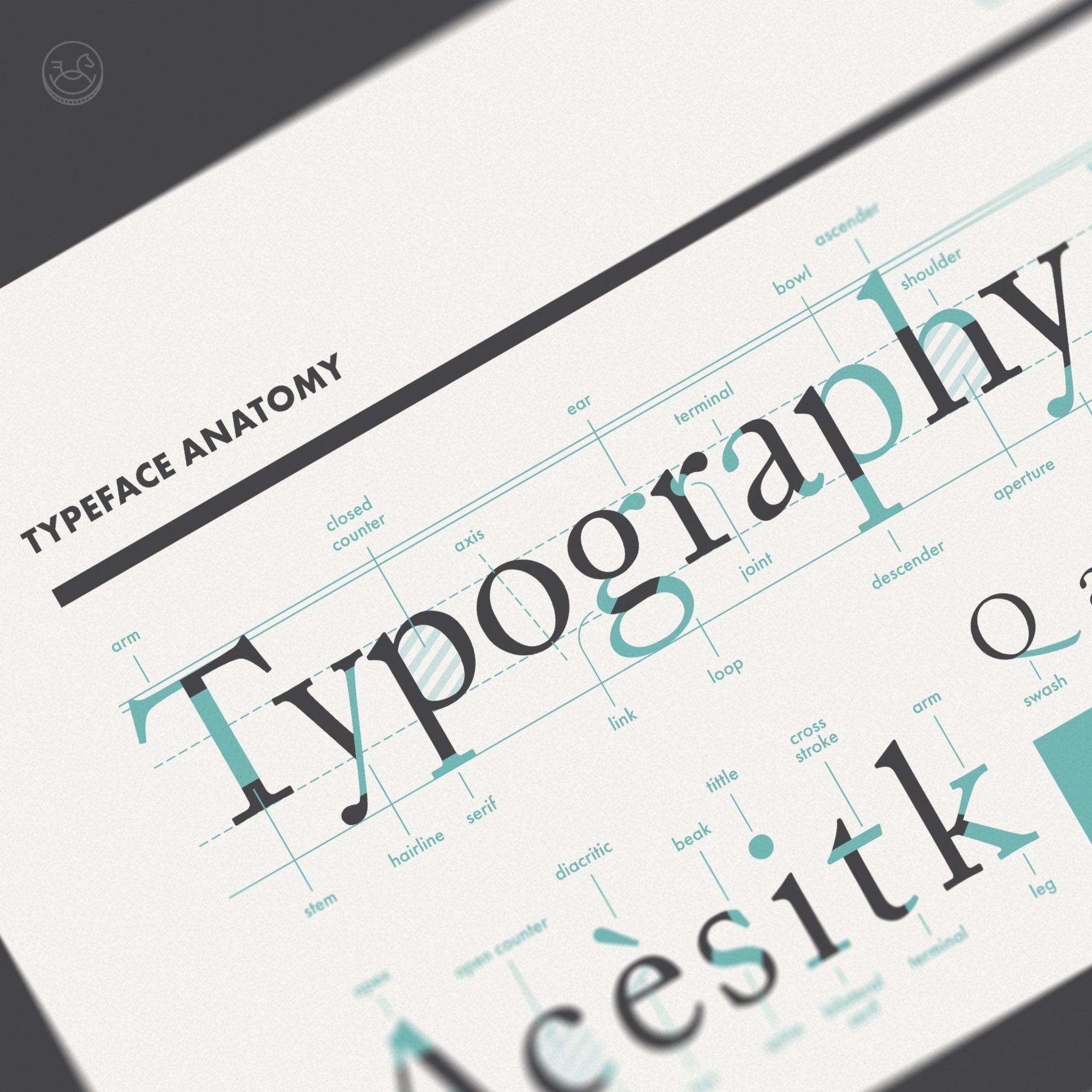 Typeface Anatomy Cheat Sheet Typography Terminology Font - Etsy