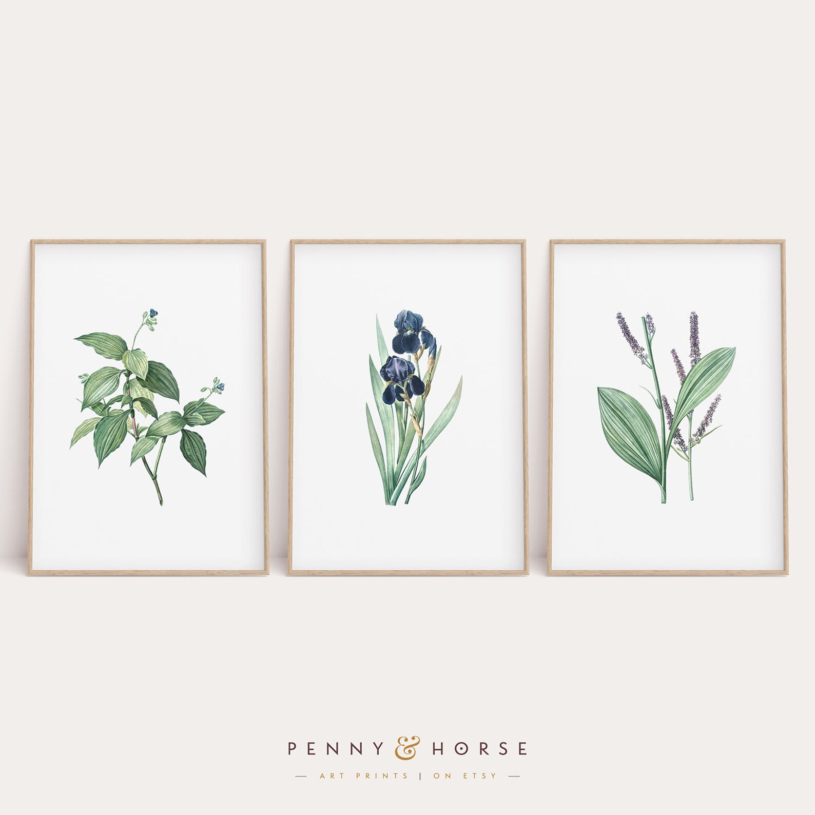 Minimal Floral Print Set Set of 3 Vintage Flowers Art - Etsy UK
