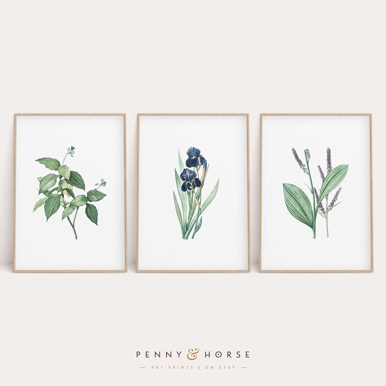 Minimal Floral Print Set Set of 3 Vintage Flowers Art | Etsy