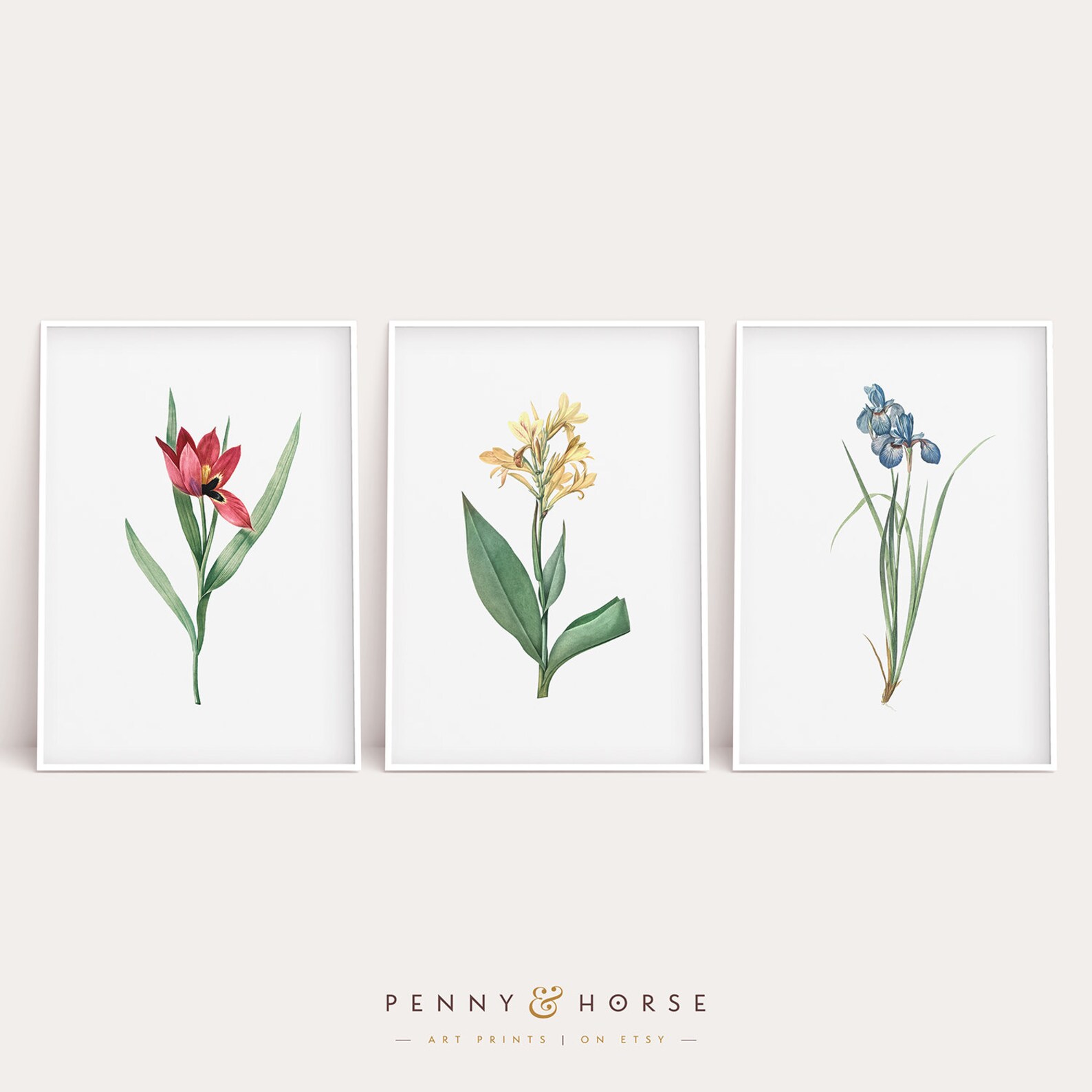 Vintage Bright Floral Print Set Set of 3 Vintage Flowers - Etsy UK