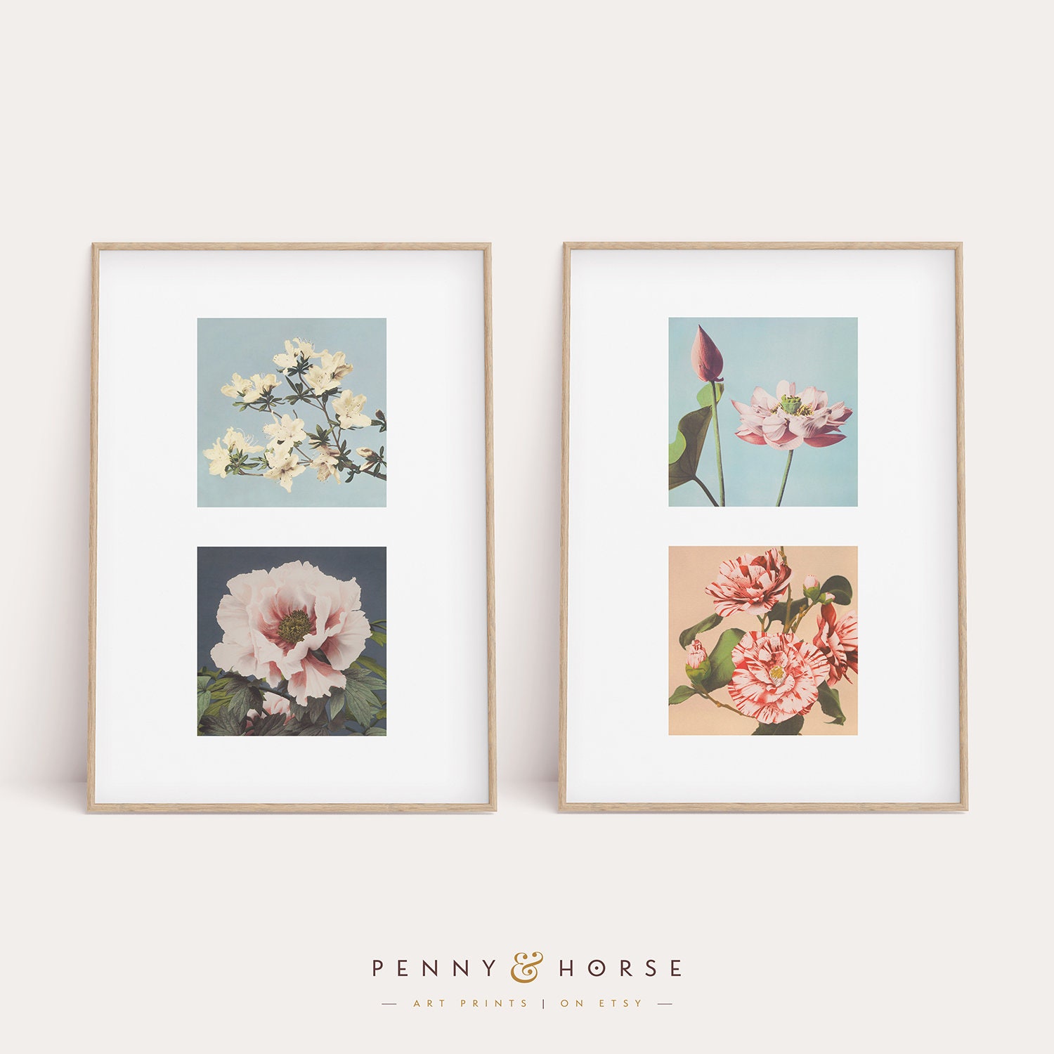 Vintage Floral Print Set Set of 2 Vintage Flowers Art | Etsy