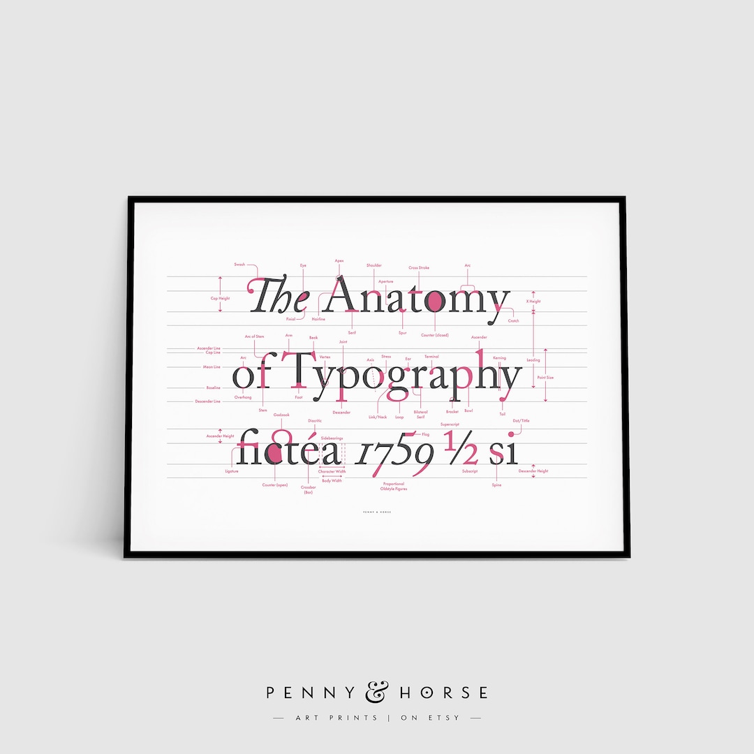 The Anatomy of Typography Poster, Type Poster, Lettering Style, Font ...